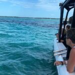 Nassau: Private Island & Snorkeling, Turtles, Drinks & BBQ - Meeting Points and Practicalities