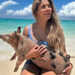 Nassau, Private Swimming Pig, Island Hopping, Snorkeling, Turtles - The Iconic Pig Beach (Swim with the Pigs)