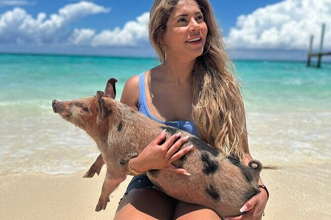 Nassau, Private Swimming Pig, Island Hopping, Snorkeling, Turtles - The Iconic Pig Beach (Swim with the Pigs)