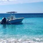Nassau: Rose Island and Green Cay Private Snorkeling Tour - Why This Tour Stands Out