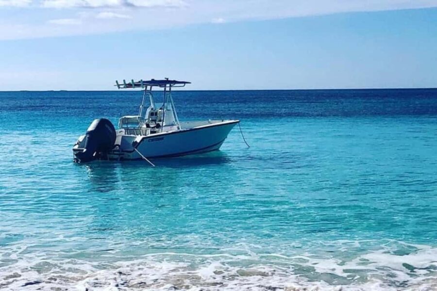 Nassau: Rose Island and Green Cay Private Snorkeling Tour - Why This Tour Stands Out