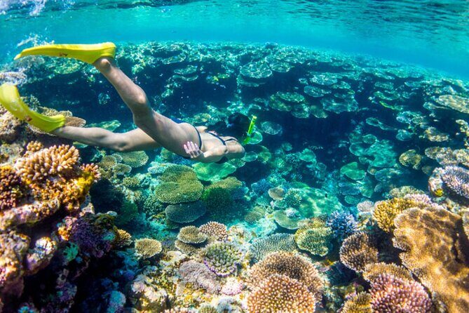 Nassau Sail & Snorkel Adventure with 1 Hour Open Bar - Frequently Asked Questions