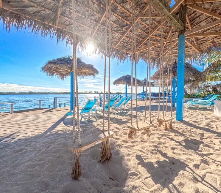 Nassau: Sun Cay Day Trip, Snorkel, Iguana Encounter, & Lunch - Snorkeling: Art and Shipwrecks Beneath the Surface