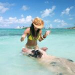 Nassau: Swimming Pigs, Snorkeling, Lunch, & Beach Boat Tour - What Makes This Tour Stand Out?