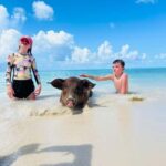 Nassau: Swimming Pigs, Turtles, Snorkel & More - The Itinerary in Detail