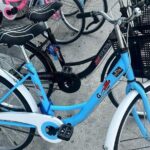 Nassaushores Bicycle Rentals - Who Should Consider This Tour?