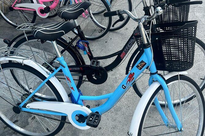 Nassaushores Bicycle Rentals - Who Should Consider This Tour?