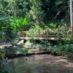 Natural Mystic - Who Will Love This Tour?