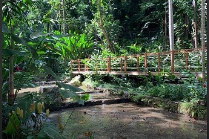 Natural Mystic - Who Will Love This Tour?