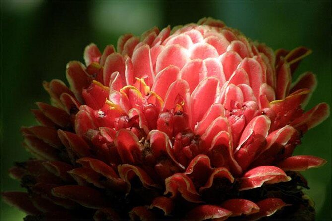 Natural Wonders of Barbados Small-Group with Harrison's Cave - Transportation and Comfort