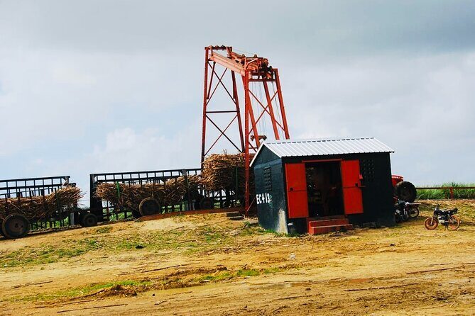 Nature and Adventure Safari Immersion in Dominican Life - Practicalities and Value