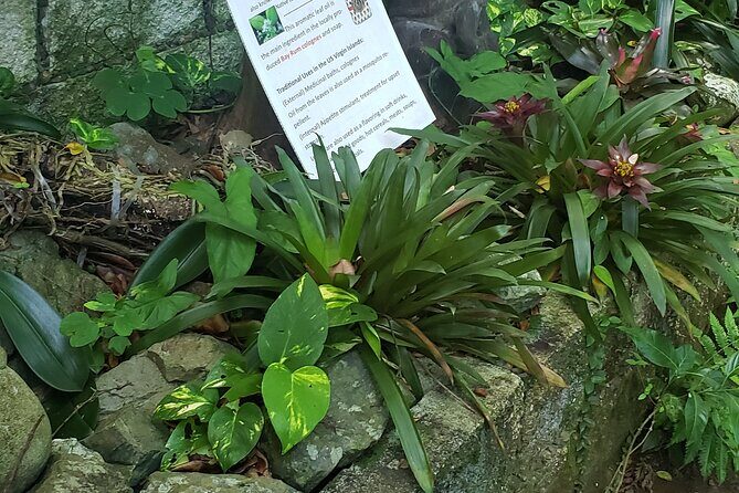 Nature and Sightseeing at Phantasea Tropical Botanical Garden - The Sum Up