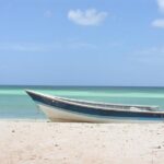 Nature Combo Oviedo Lagoon & Bahia de las Aguilas - Analyzing the Value