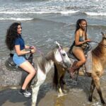 Nature & Historical Horseback Riding Tours St. Lucia - What to Expect on Your Horseback Riding Adventure
