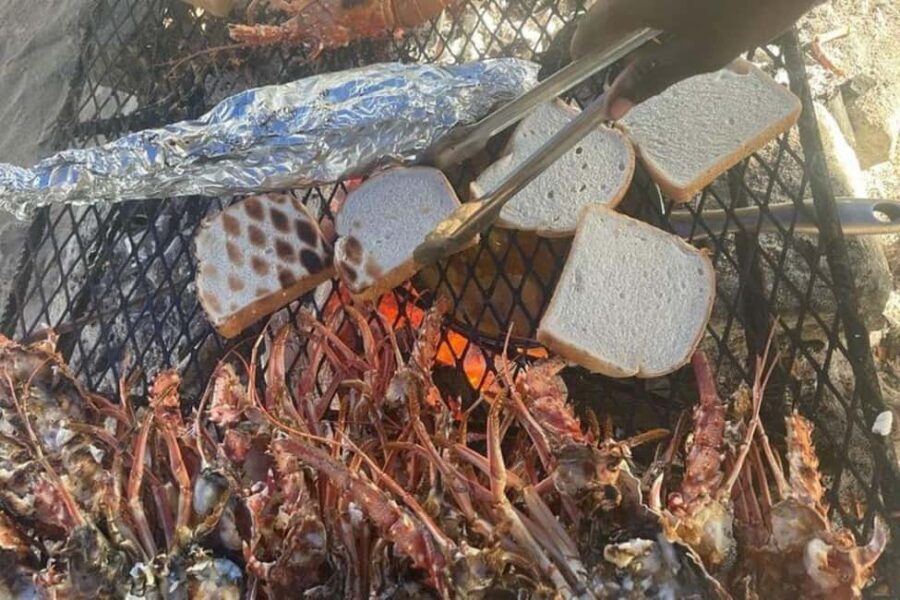 Negril: 7-Miles Beach & Rick's Cafe Sunset Experience - A Deep Dive into the Itinerary