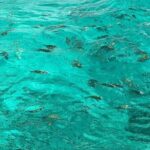 Negril and Ricks Cafe Sunset Tour with Boat Ride and Snorkeling - Second Stop: Rick’s Cafe and Sunset Spectacle