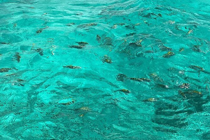 Negril and Ricks Cafe Sunset Tour with Boat Ride and Snorkeling - Second Stop: Rick’s Cafe and Sunset Spectacle