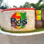 Negril Beach Experience & Rick's Cafe from Montego Bay - Practical Details to Keep in Mind