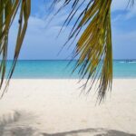 Negril Beach & Ricks Cafe from Montego Bay - Transportation and Group Size: Comfort and Intimacy