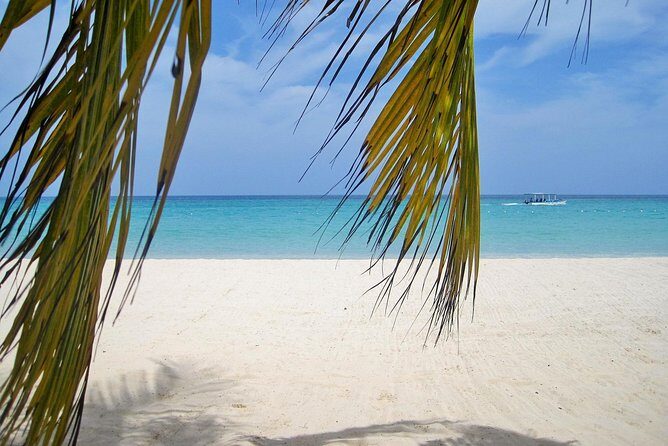 Negril Beach & Ricks Cafe from Montego Bay - Transportation and Group Size: Comfort and Intimacy