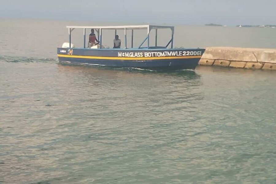 Negril: Booby Cay Island Picnic Tour with Snorkeling - Who Should Consider This Tour?