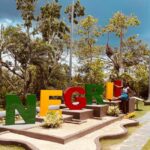 Negril: Private Snorkeling, Ricks Cafe, and Margaritaville - The Itinerary in Detail