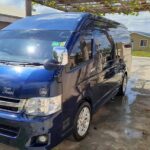 Negril Ricks Cafe Day trip from any Montego Bay Hotels - What Travelers Are Saying