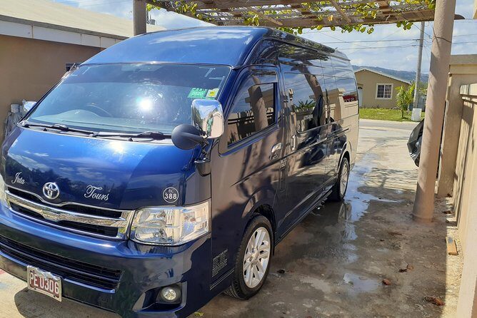 Negril Ricks Cafe Day trip from any Montego Bay Hotels - What Travelers Are Saying