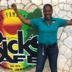 Negril Seven Mile beach, Catamaran Cruise ,Parasailing,with Sunset at Ricks Cafe - Analyzing the Value and Price