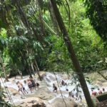 Negril to Dunn's River Small Group Tour - A Deep Dive into the Experience