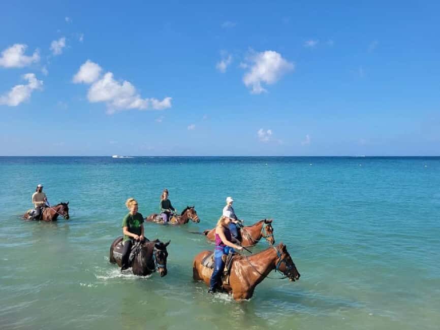 Nevis: Private Horseback Ride and Swim in the Caribbean Sea - Final Thoughts