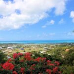 Nicole's Table - Coordinating Curry - An In-Depth Look at Nicole’s Coordinating Curry Class