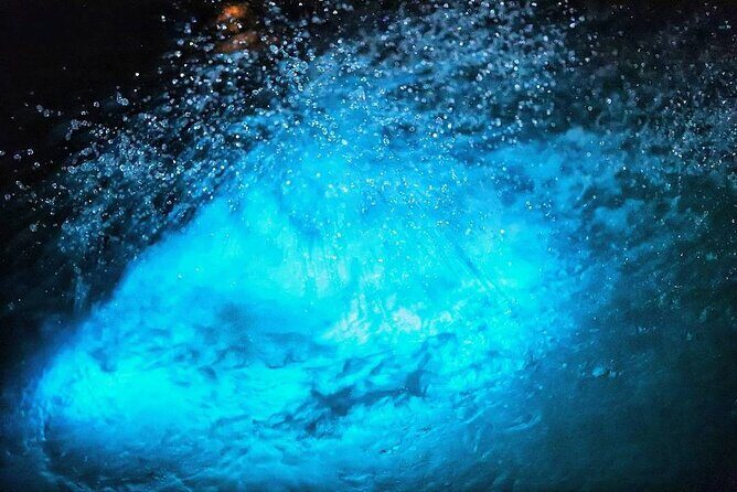 Night Excursion Experience at Luminous Lagoon - The Sum Up