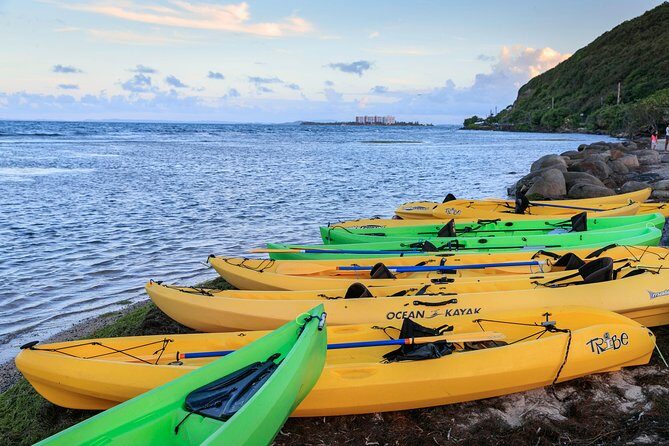 Night Kayaking Experience on Bioluminescent Lagoon in Fajardo - An In-Depth Look at the Bioluminescent Kayaking Tour