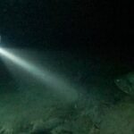 Night Snorkeling Adventure - Practical Tips for a Smooth Experience