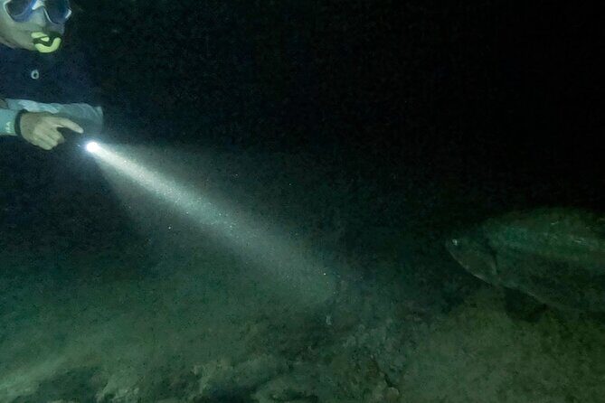 Night Snorkeling Adventure - Practical Tips for a Smooth Experience