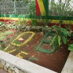 Nine Mile Bob Marley Mausoleum Transportation [ Birthplace ] - Frequently Asked Questions