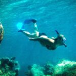 Norman Island - The Caves & The Indians - Sailing & Snorkel Tour - The Itinerary: What to Expect