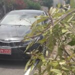 Norman Manley Airport to Strawberry Hills - Why Choose This Transfer?