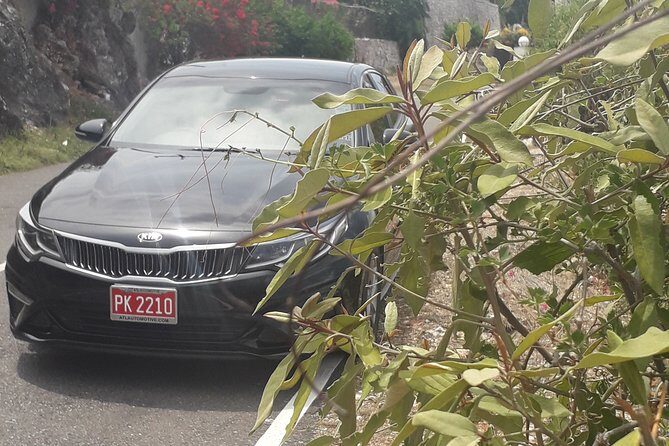 Norman Manley Airport to Strawberry Hills - Why Choose This Transfer?