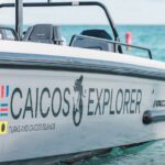 North and Middle Caicos Day Trip: Cruise, discover, explore! - Wildlife and Overlooks