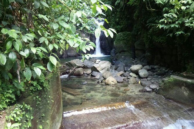 North Caribbean Tour in Martinique - Authentic Experiences and What Travelers Say