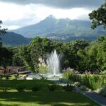 North Tour: rainforest, rum distillery, black sand beach etc - Discovering Botanical Wonders at Domaine dEmeraude