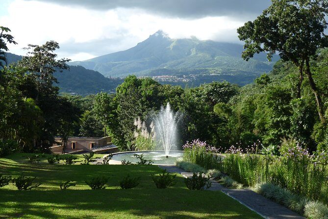 North Tour: rainforest, rum distillery, black sand beach etc - Discovering Botanical Wonders at Domaine dEmeraude