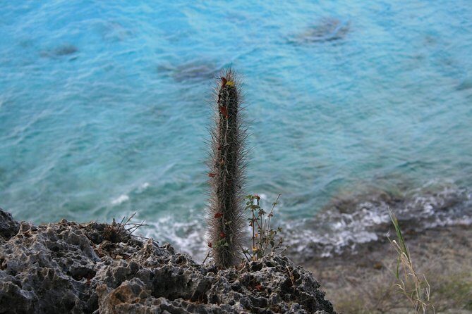 North Tour with Local Guide - What Makes This Tour Stand Out?