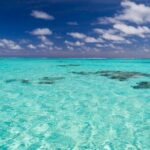 Occidental Caribe - Round Trip Shuttle - Punta Cana Airport - The Realities of the Transfer