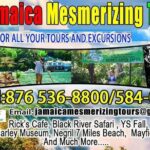 Ocean Eden Bay Private Airport Transfer - What Travelers Are Saying (Based on the Reviews)