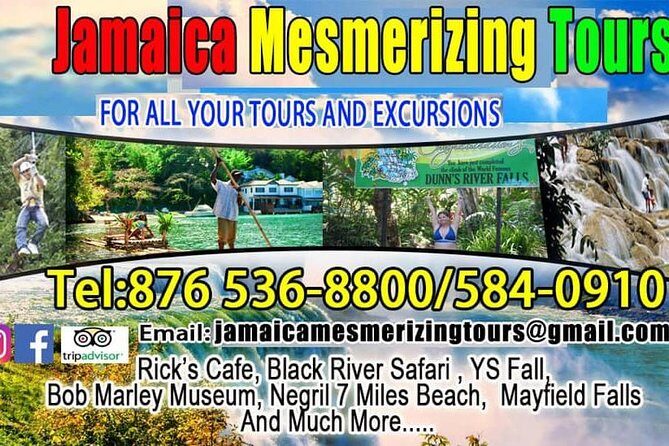 Ocean Eden Bay Private Airport Transfer - What Travelers Are Saying (Based on the Reviews)