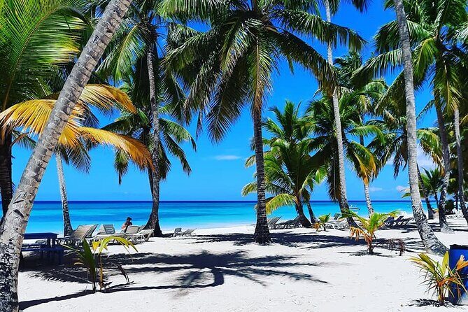 Ocean El Faro Resort - Round Trip Shuttle - Punta Cana Airport - Inside the Vehicle: Comfort and Service