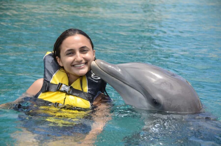 Ocean World Dolphin Swim & Sea Lion Combo from Puerto Plata - The Sum Up